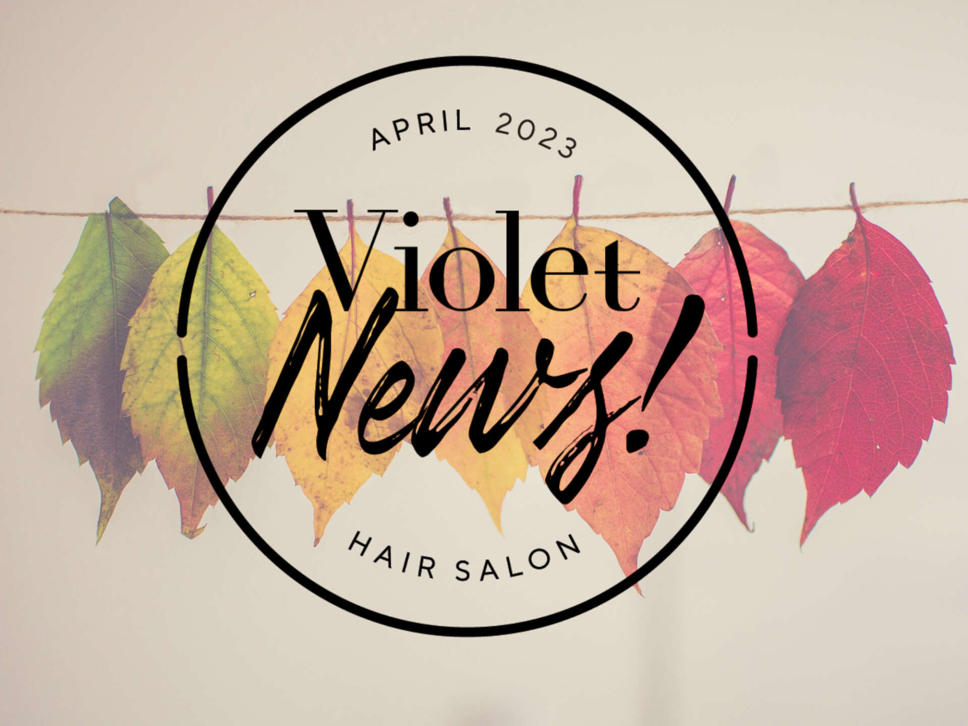 【Violet News! September 2023】 | 表参道・銀座・横浜・名古屋栄の美容室・美容院 Violet (バイオレット)