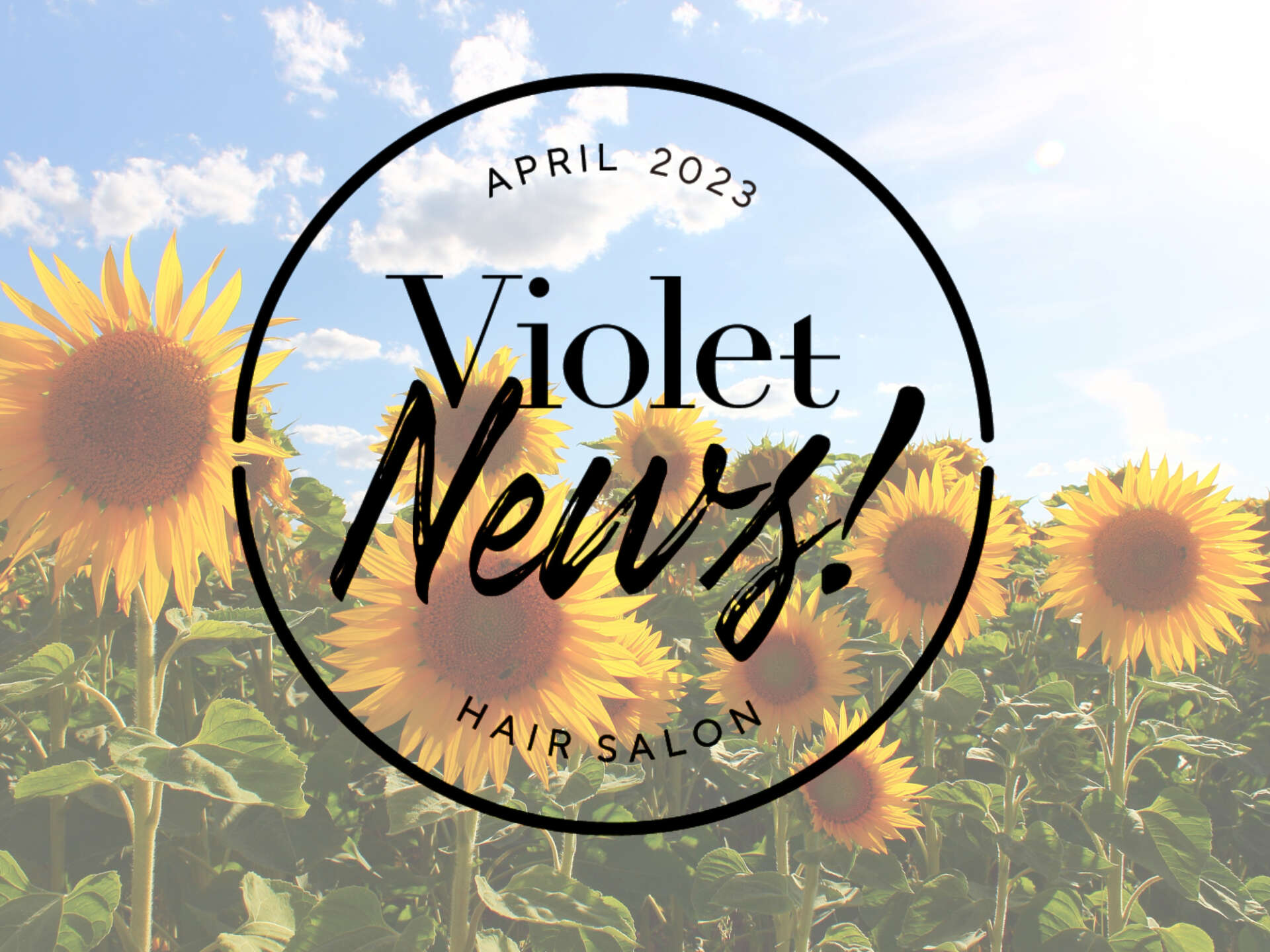 【Violet News! August 2023】 | 表参道・銀座・横浜・名古屋栄の美容室・美容院 Violet (バイオレット)