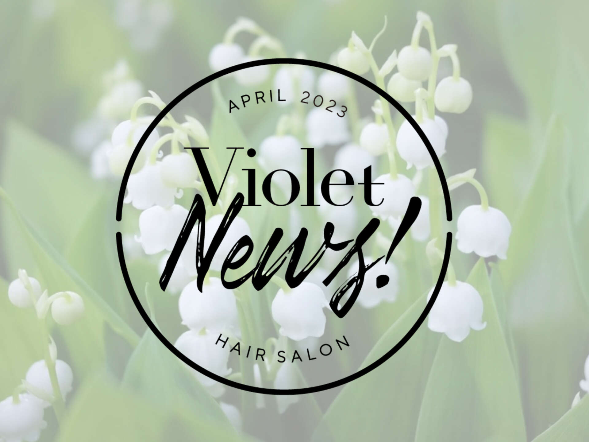 【Violet News! MAY 2023】 | Violet (バイオレット) 青山・表参道・銀座・横浜・名古屋栄の美容室